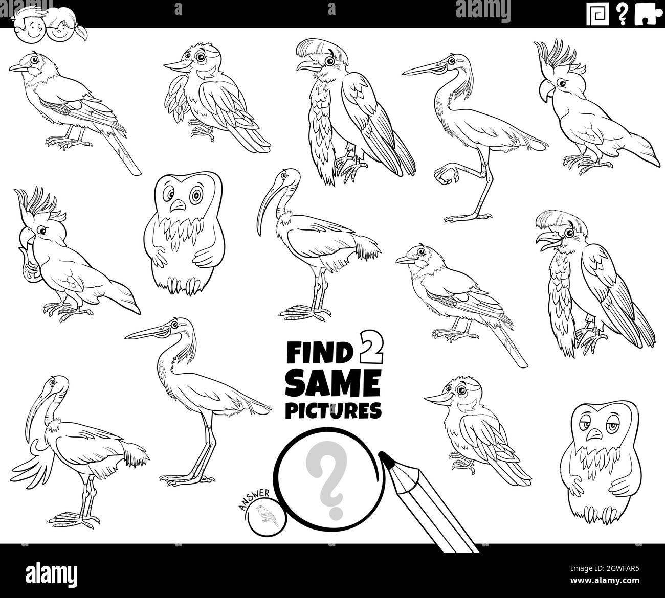 Types Of Birds Coloring Pages