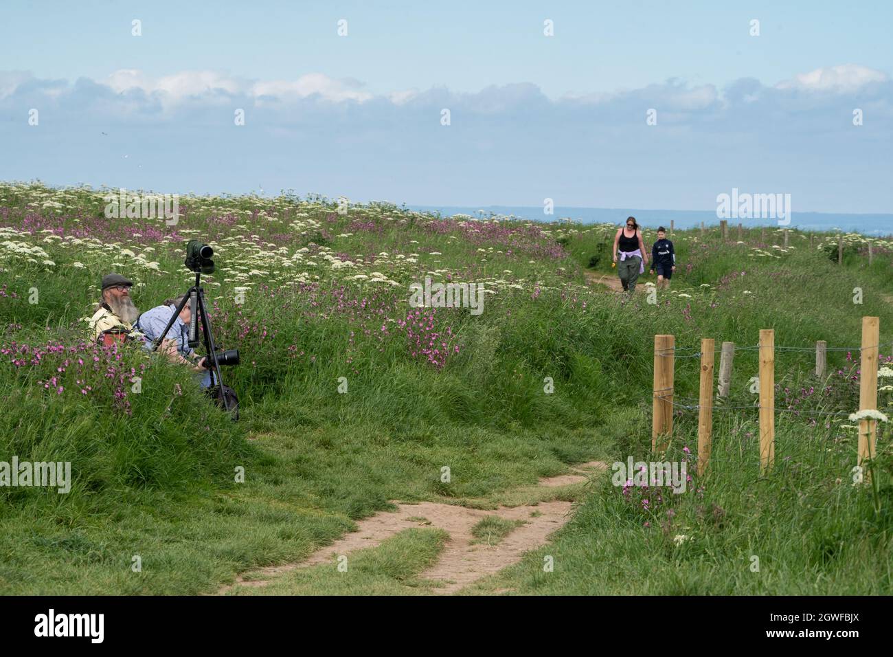 Visitors and birdwatchers at RSPB Bempton Cliffs, Yorkshire, UK Stock ...