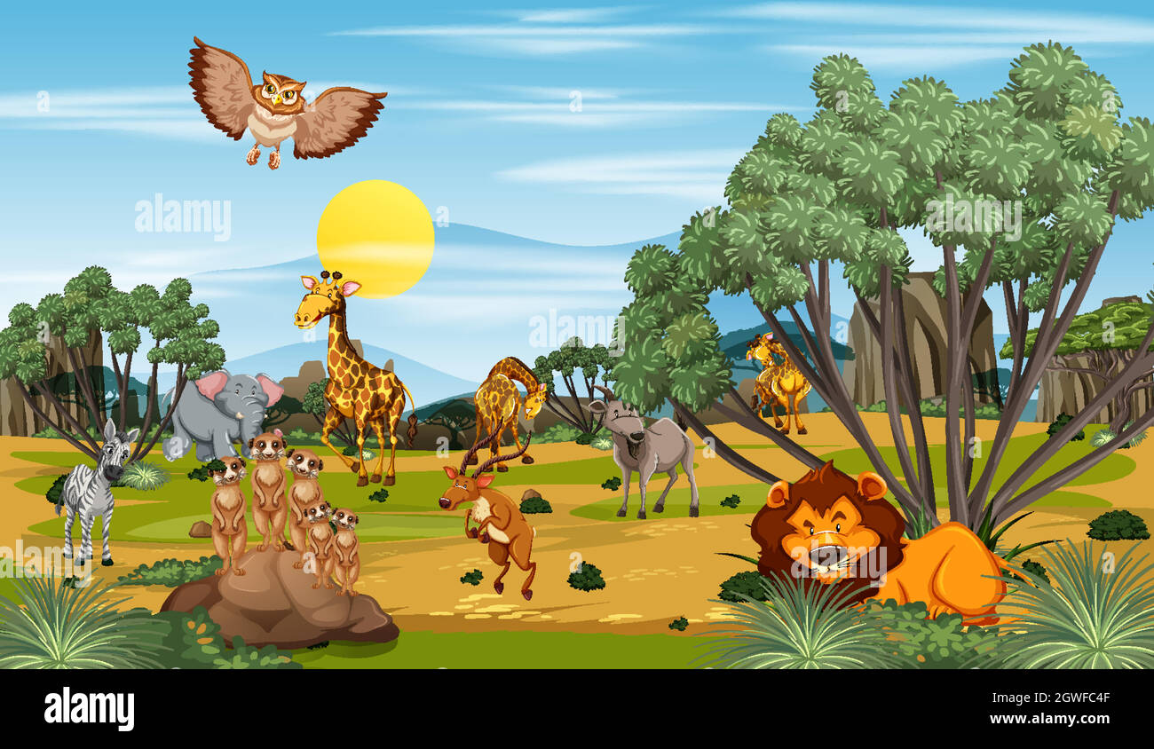 Many different animals in the forest scene Stock Vector Image & Art - Alamy