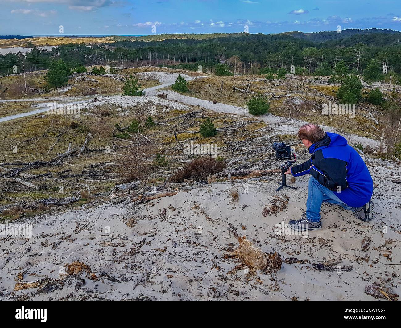 Gimbal tree hi-res stock photography and images - Alamy