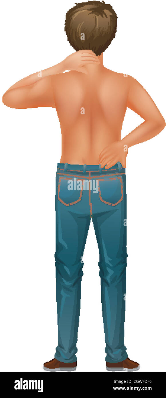 Neck and back anatomy Stock Vector Images - Alamy