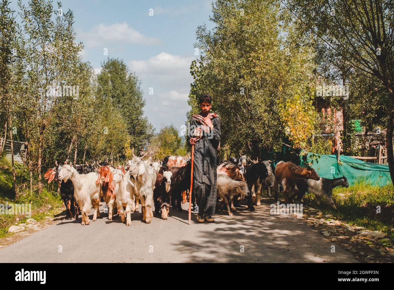 Nomadic Bakarwals High Resolution Stock Photography and Images - Alamy