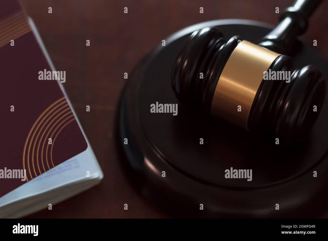 Animal judges hi-res stock photography and images - Alamy