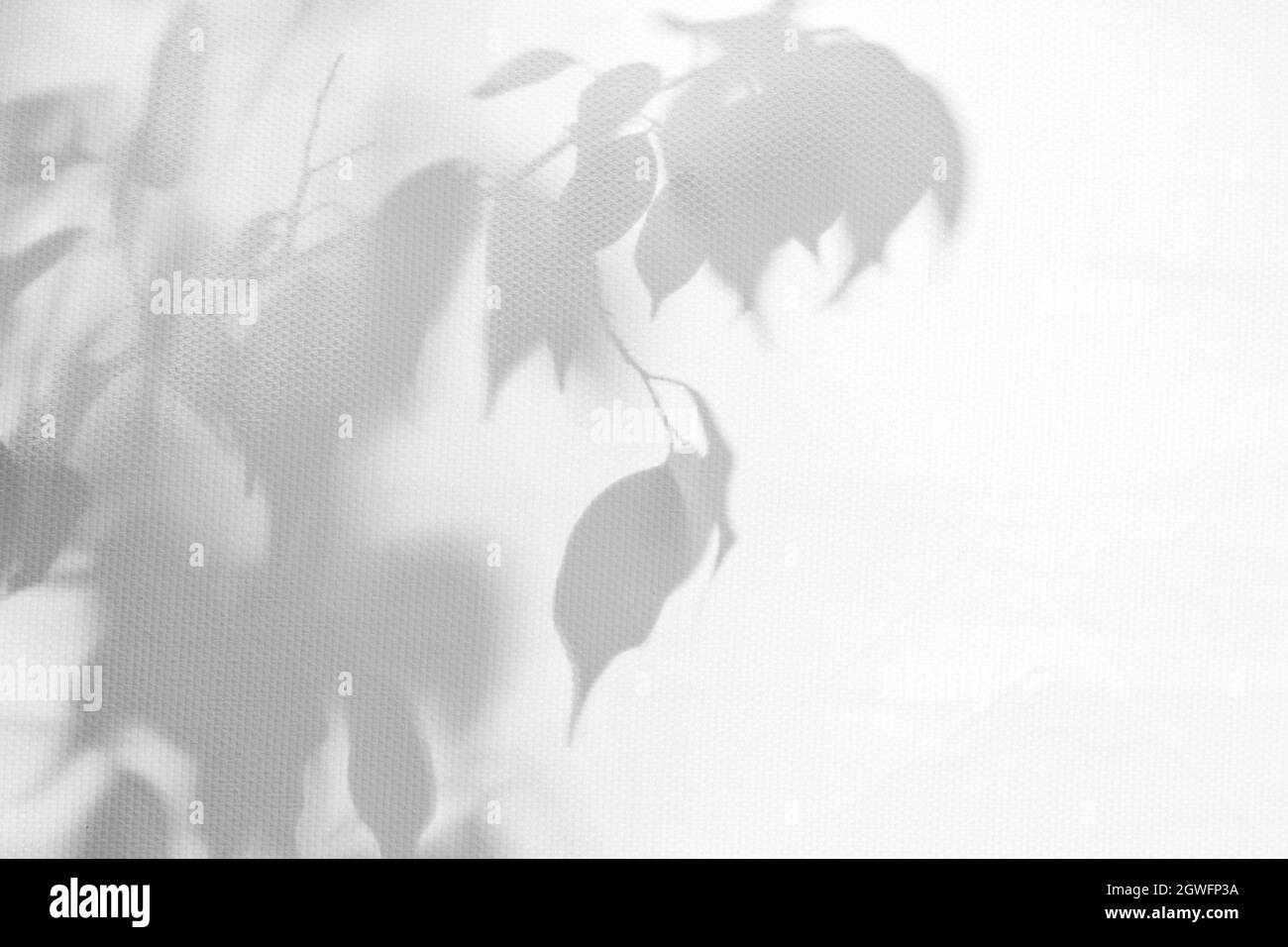 Abstract natural pattern with shadows. Gray shadow background from ...