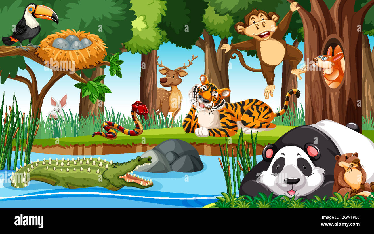 Wild Animals In Jungle