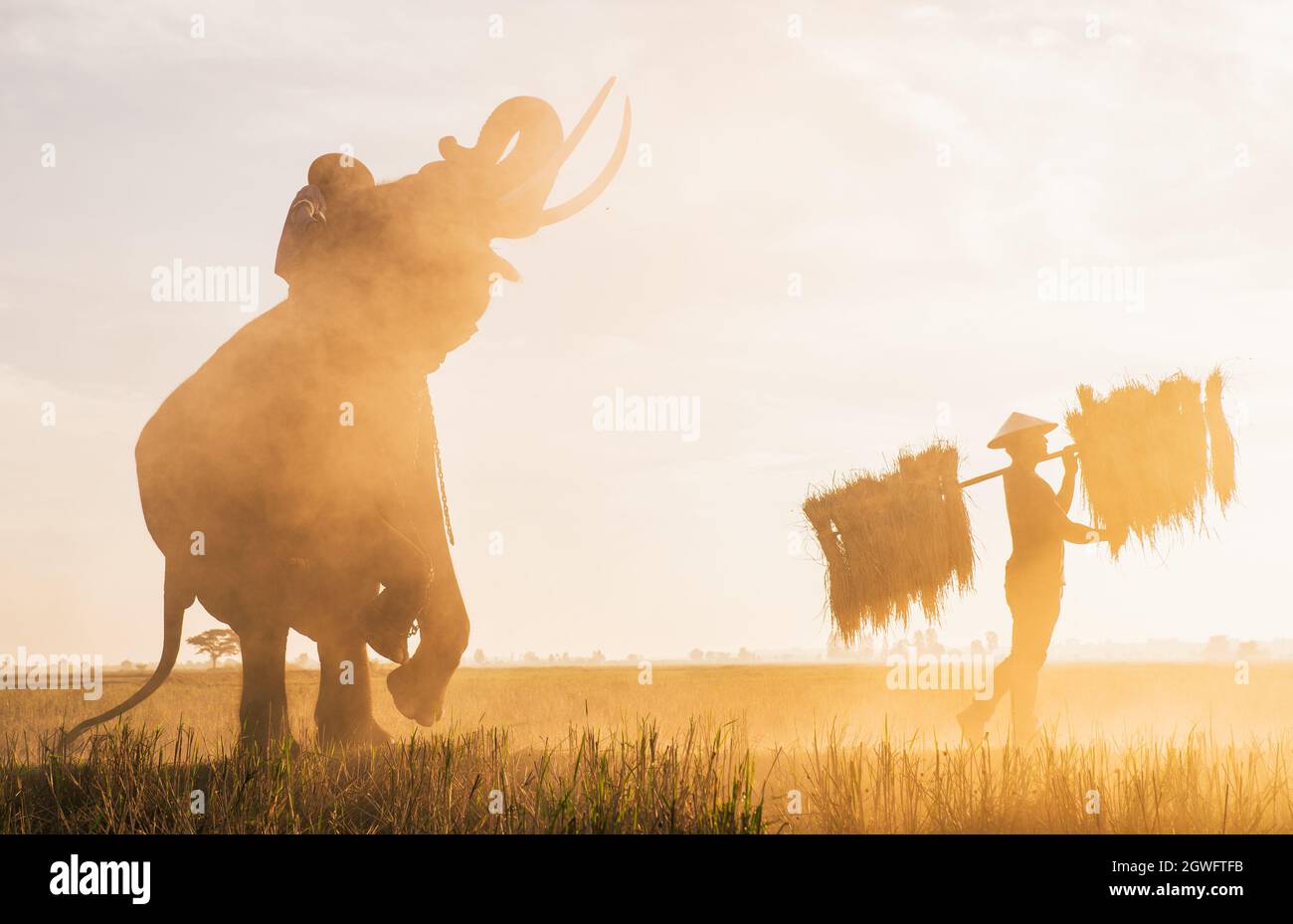 Indonesia japan industry hi-res stock photography and images - Alamy