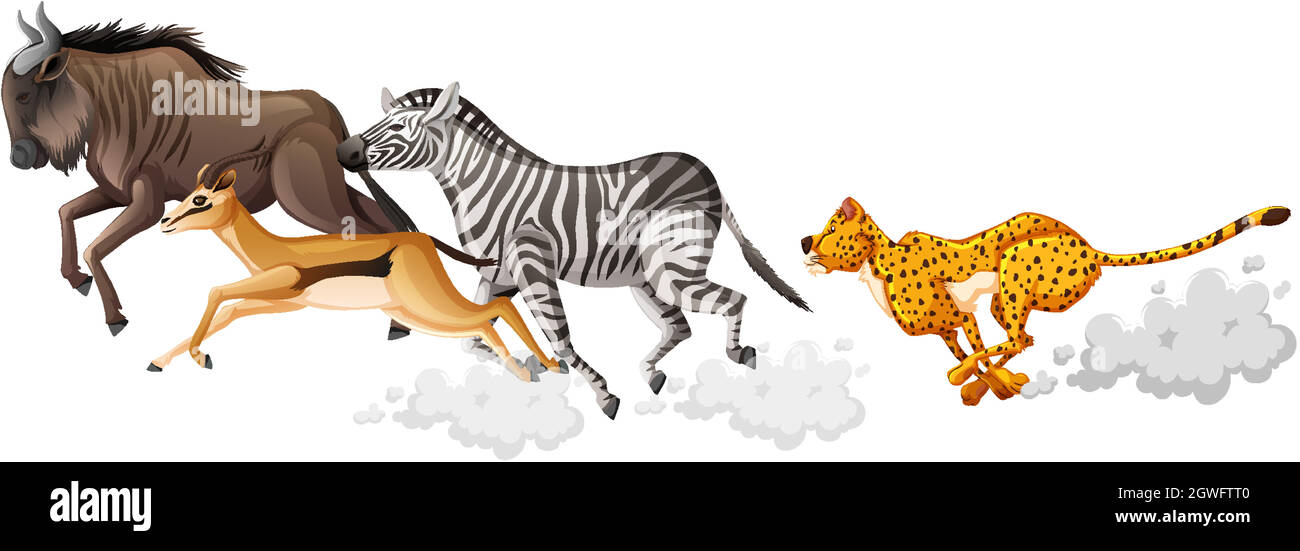 Wild animals group are running cartoon style isolated on white ...