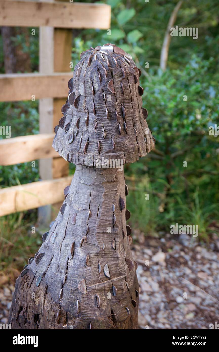 Money tree lucky coins coin trunk bark hi-res stock photography and ...
