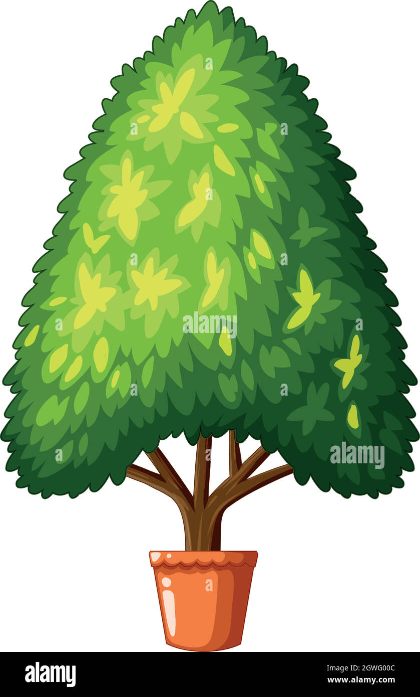 Tree growing in the pot Stock Vector Image & Art - Alamy
