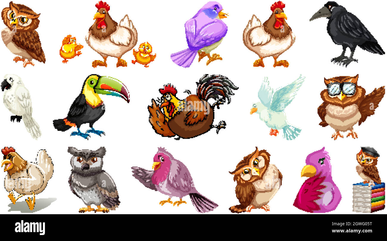 Set of different birds cartoon style isolated on white background Stock ...