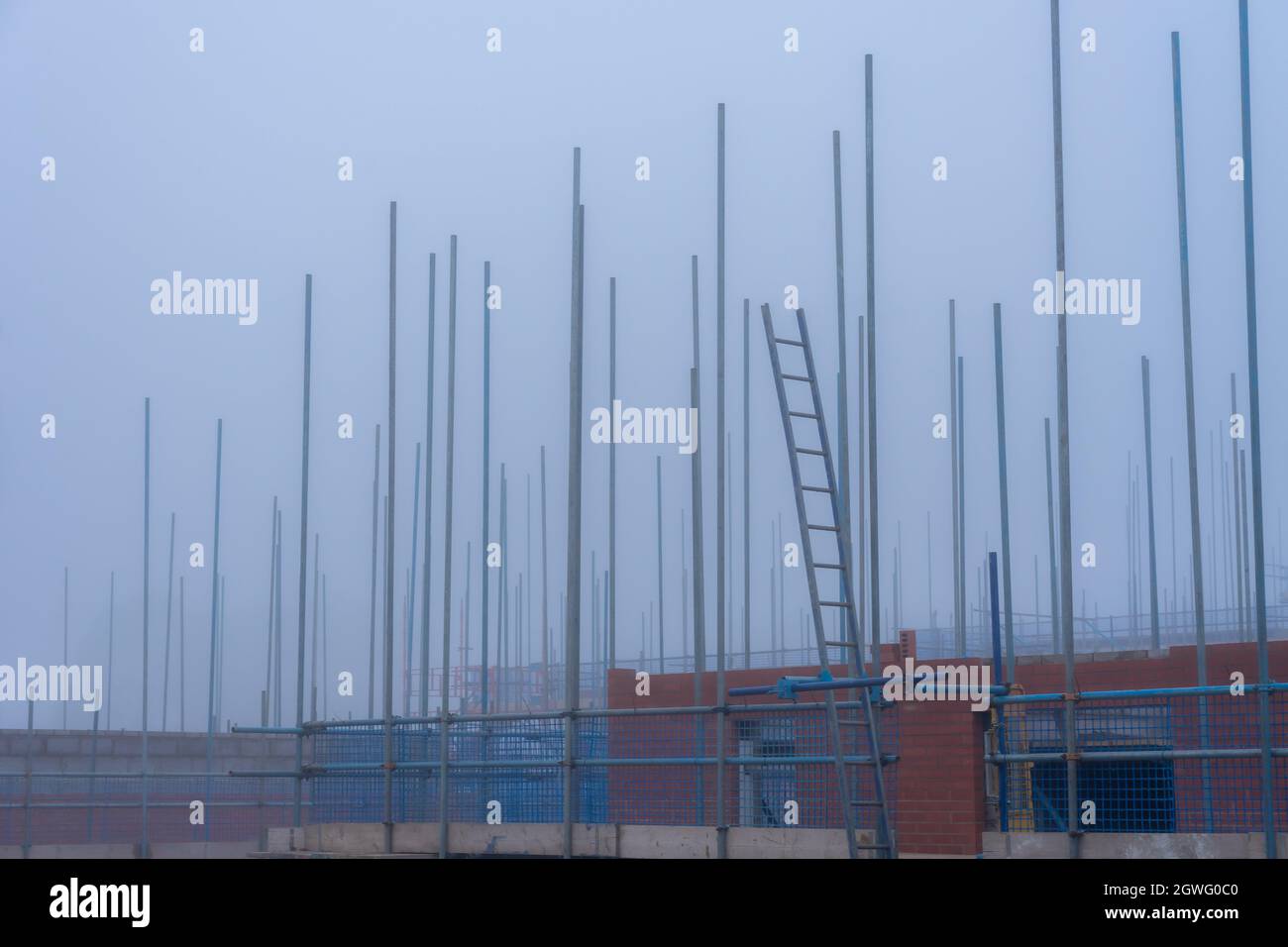 Forest of poles on an empty building site Stock Photo - Alamy