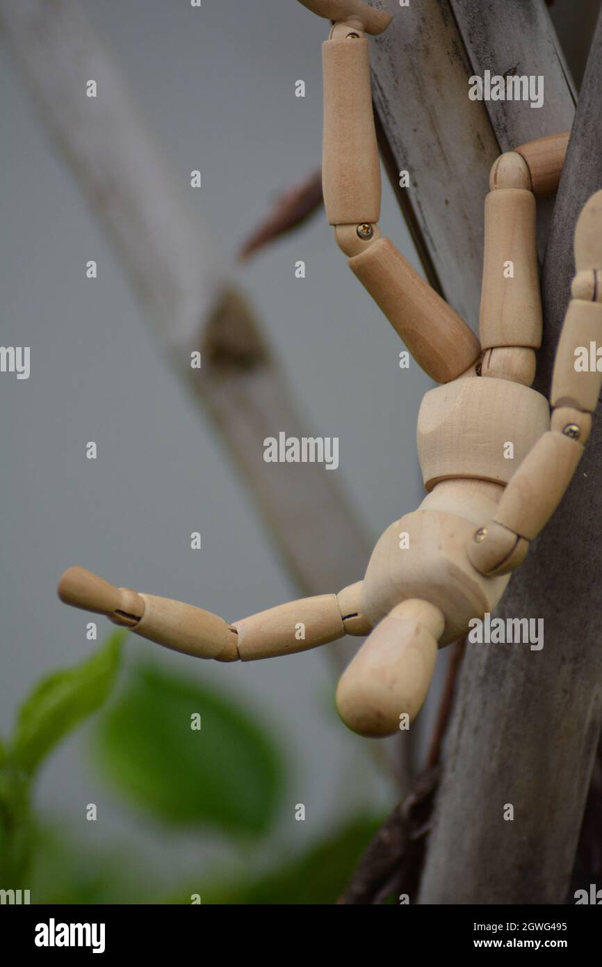 Bamboo height hi-res stock photography and images - Alamy
