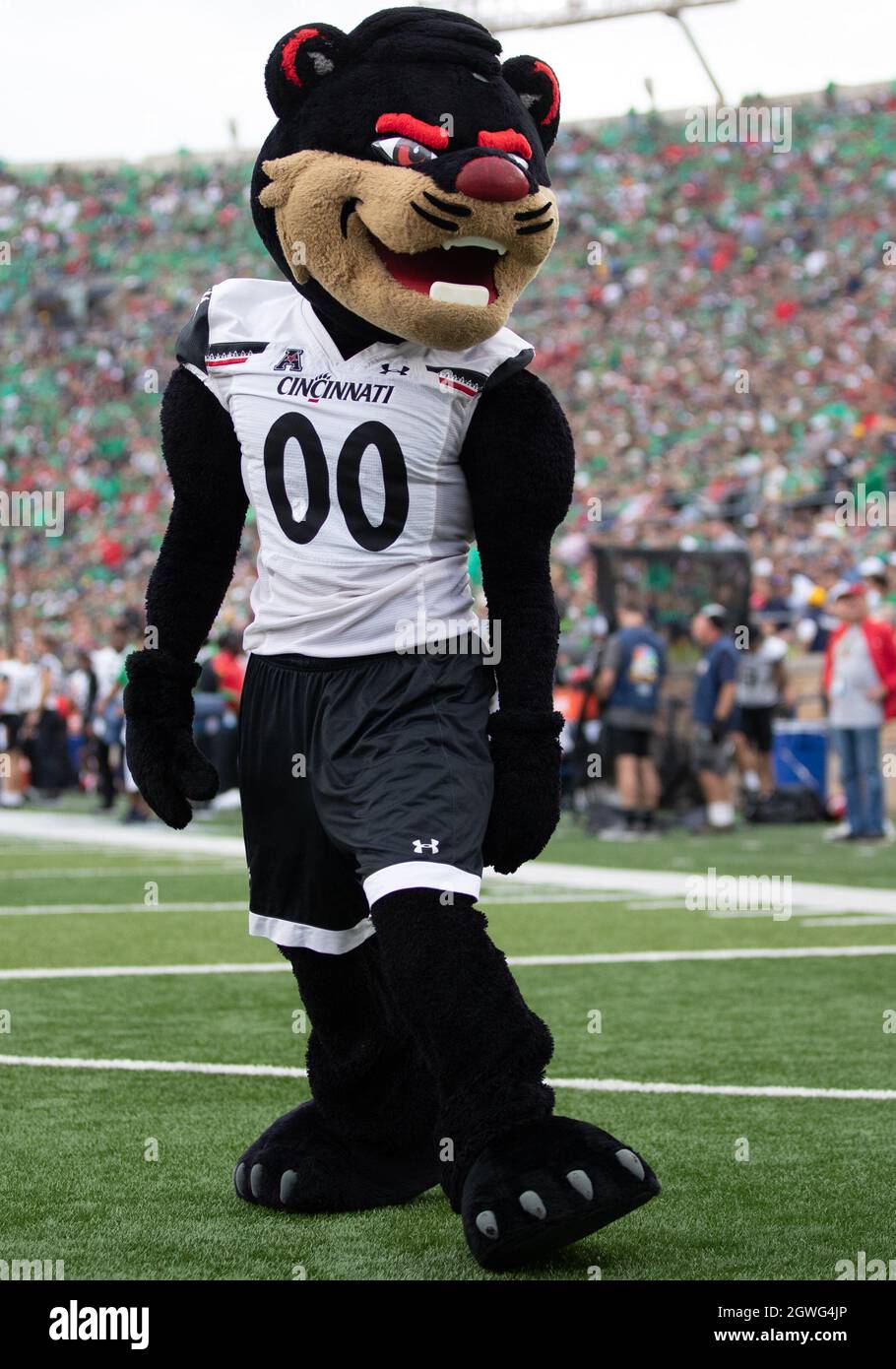 What Is Cincinnati S Mascot At Stephen Bitter Blog What Is Cincinnati S Mascot At Stephen Bitter Blog