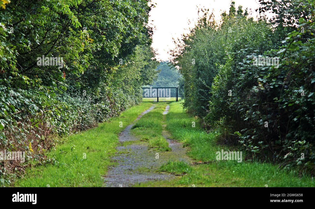 A tree-lined path ends at the gate in front of a meadow. Until here and ...