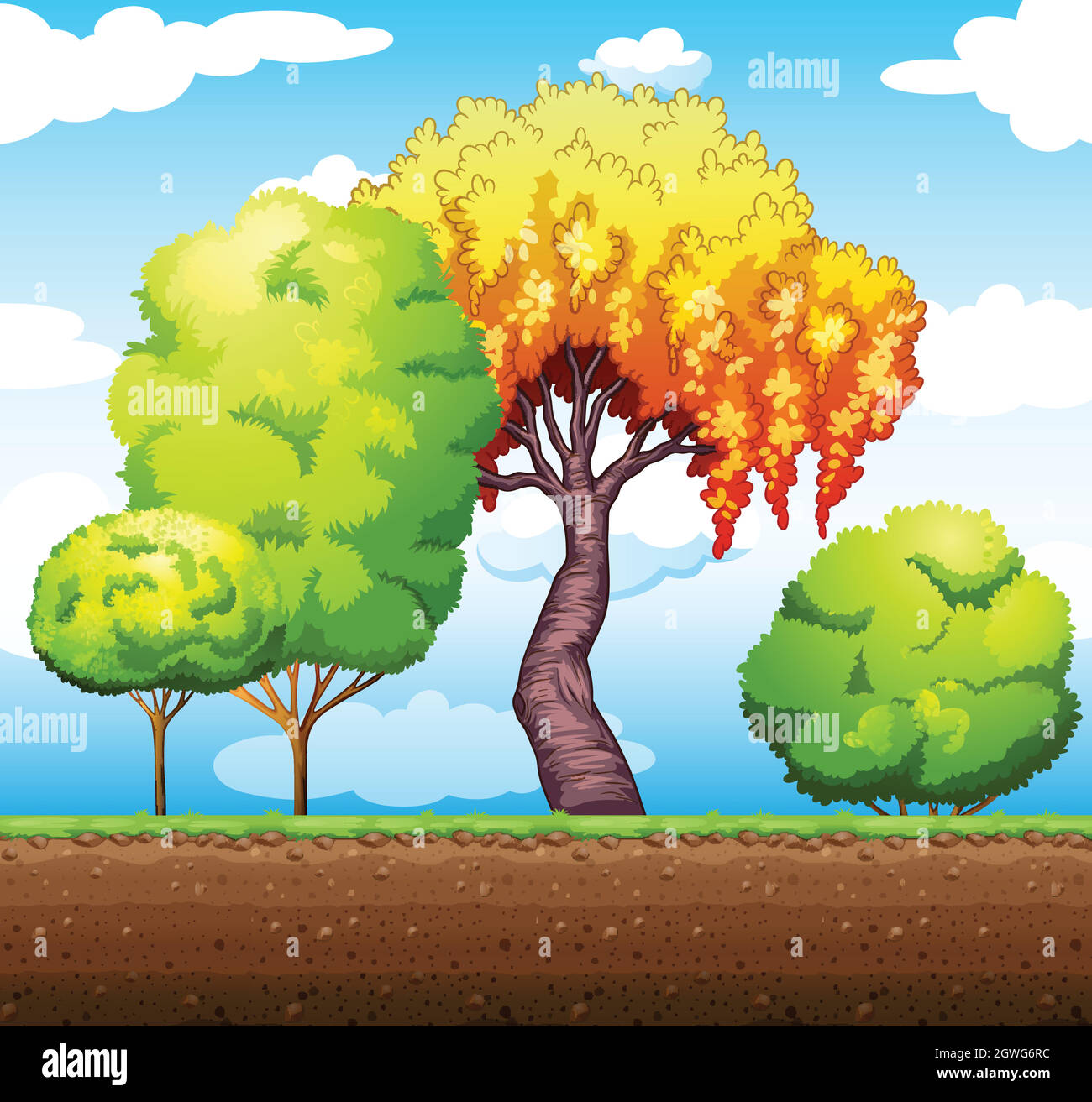 Cartoon illustration park trees hi-res stock photography and images - Alamy