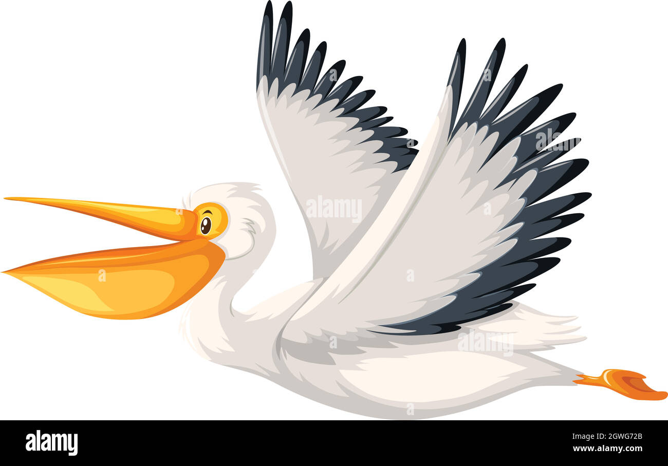 A pelican character flying Stock Vector Image & Art - Alamy
