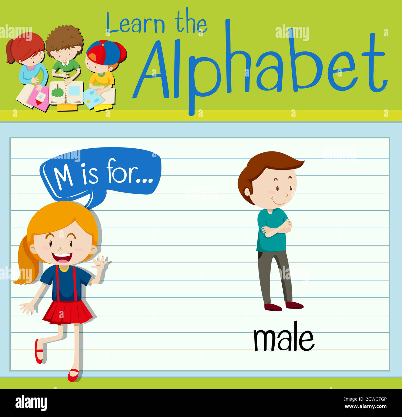 Flashcard letter M is for male Stock Vector Image & Art - Alamy