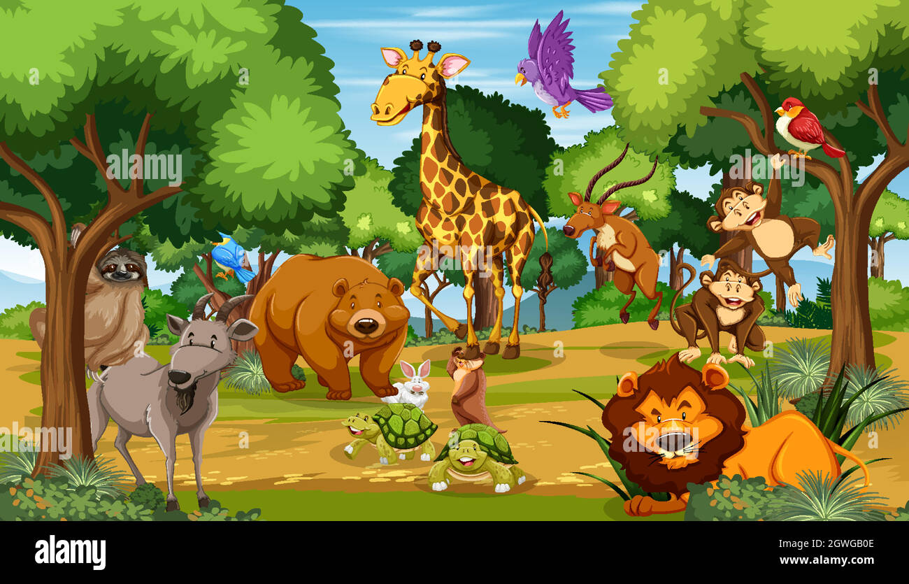 Many different animals in the forest scene Stock Vector Image & Art - Alamy