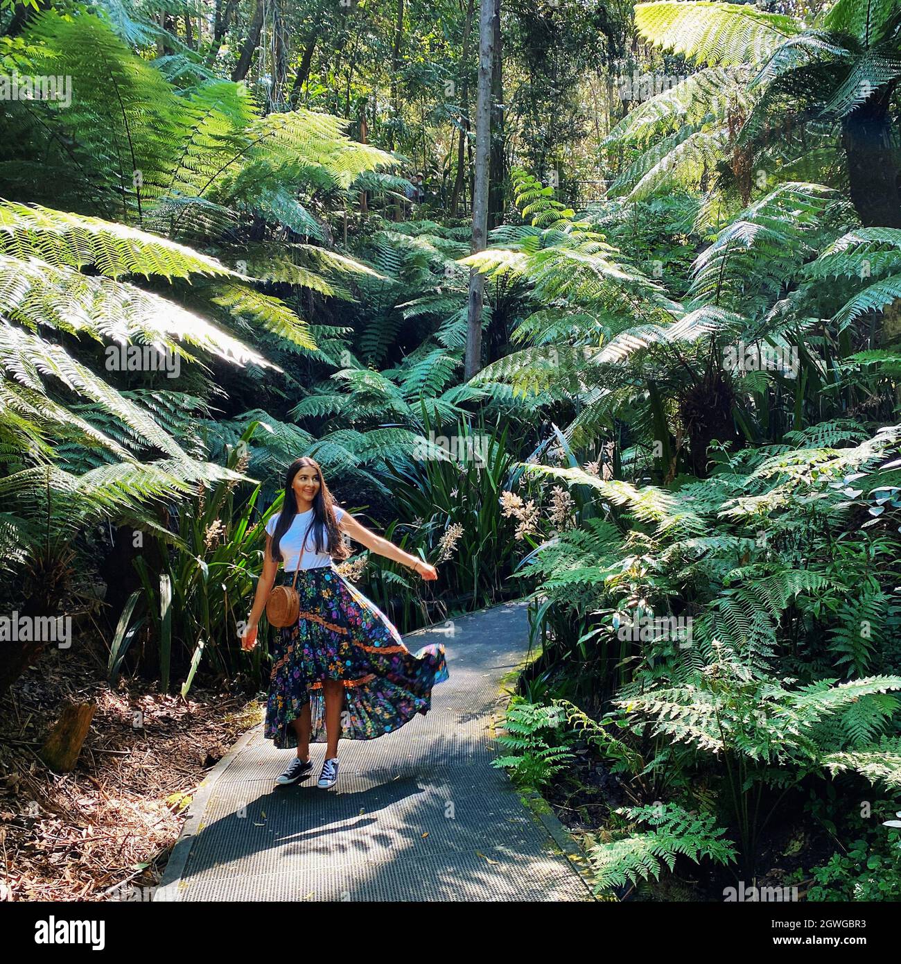 Dancing ferns hi-res stock photography and images - Alamy