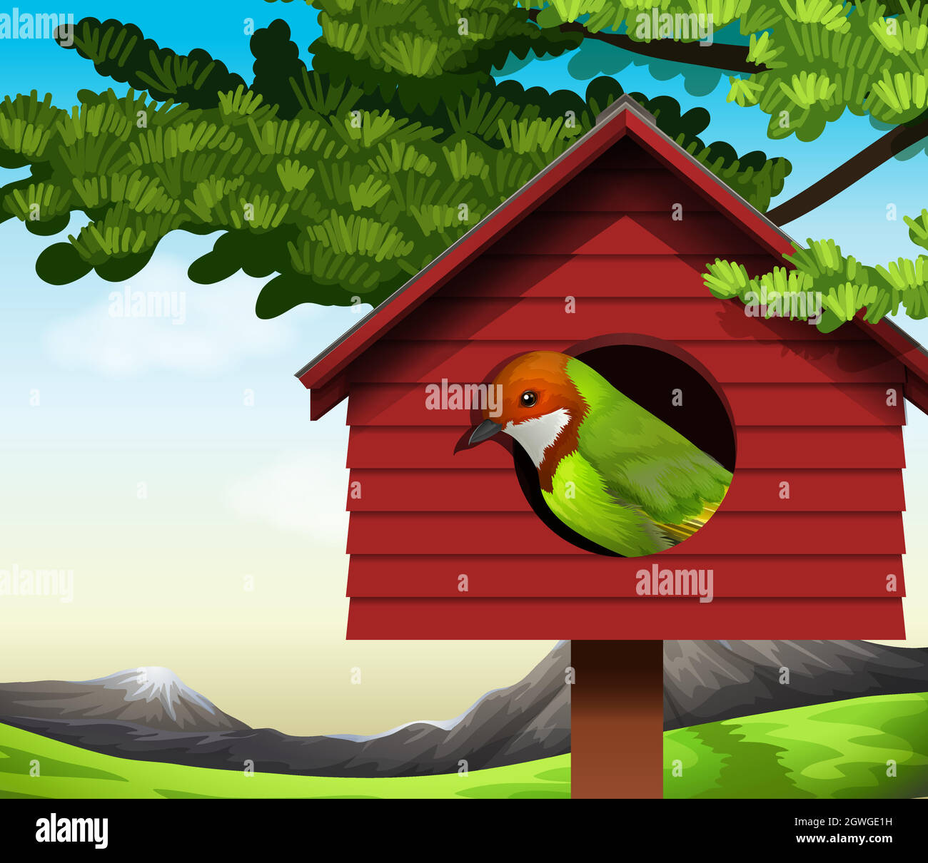 Drawing a bird Stock Vector Images - Alamy