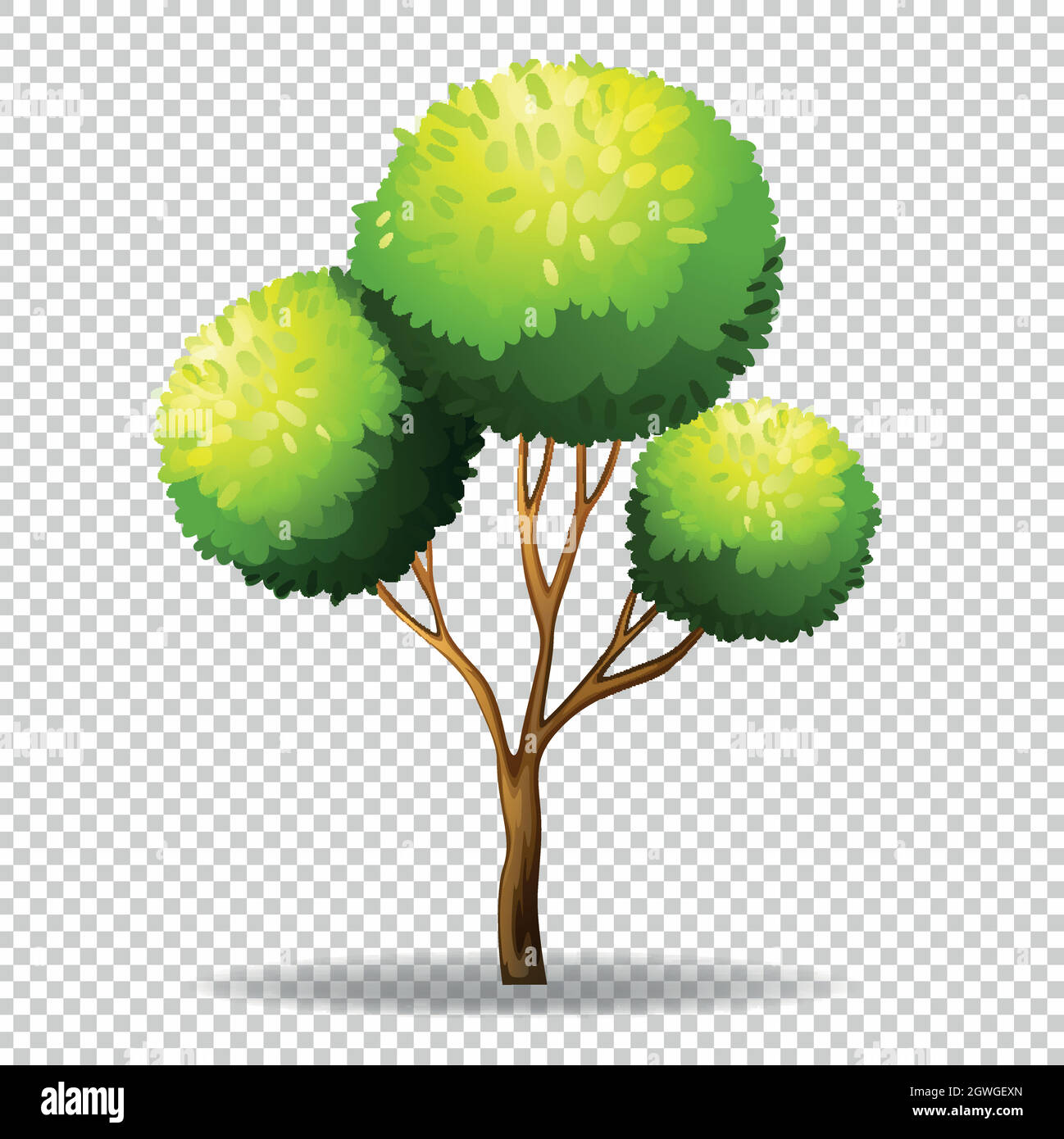 Gree tree on transparent background Stock Vector Image & Art - Alamy