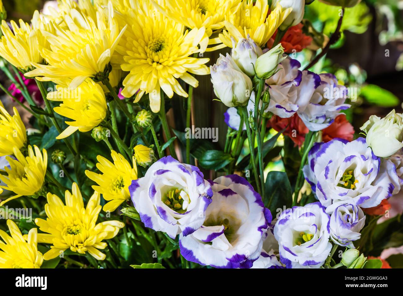 Flower Festival at St Peter's Church, Budleigh Salterton, September ...