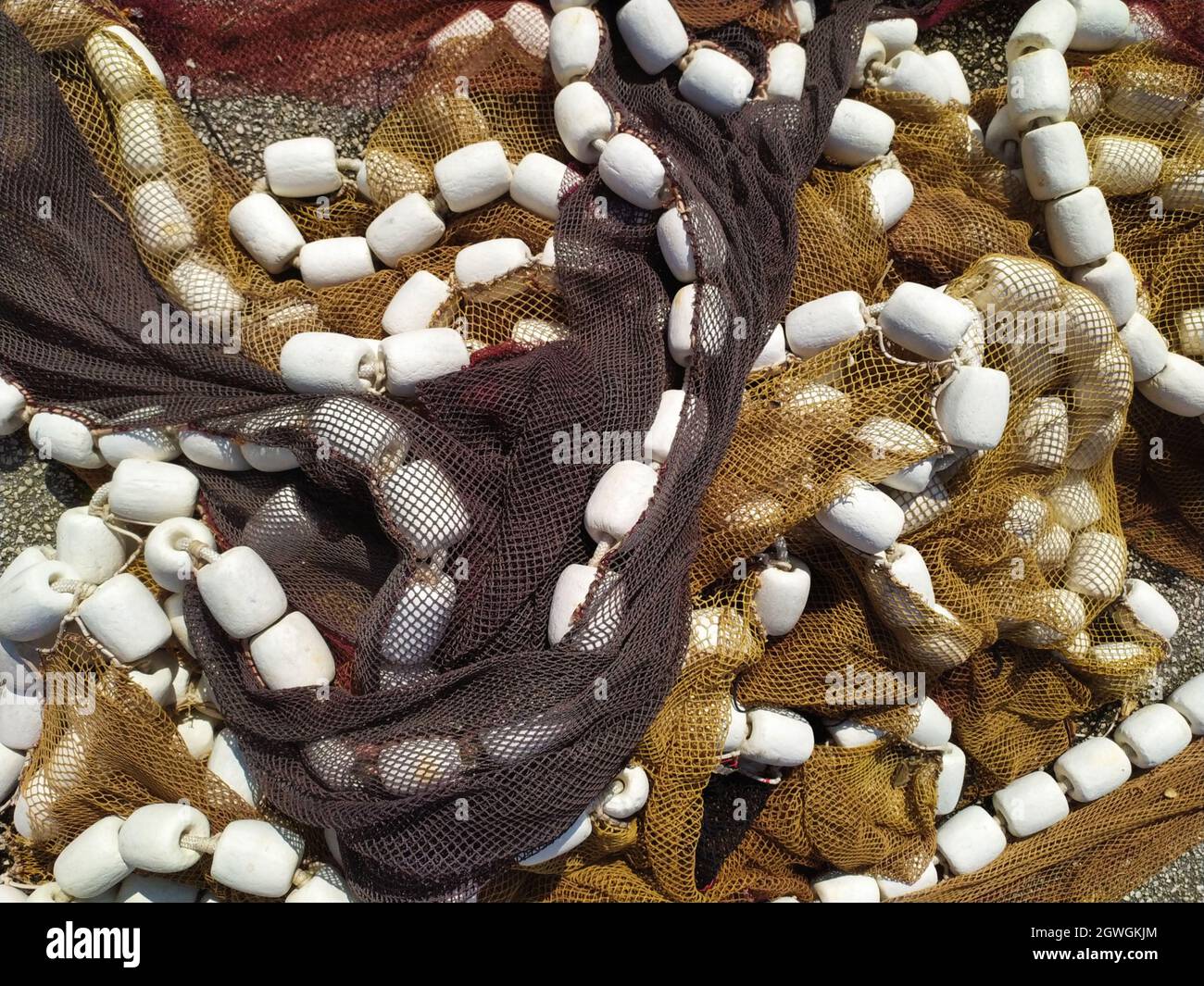 Marine animal tangled plastic hi-res stock photography and images - Alamy