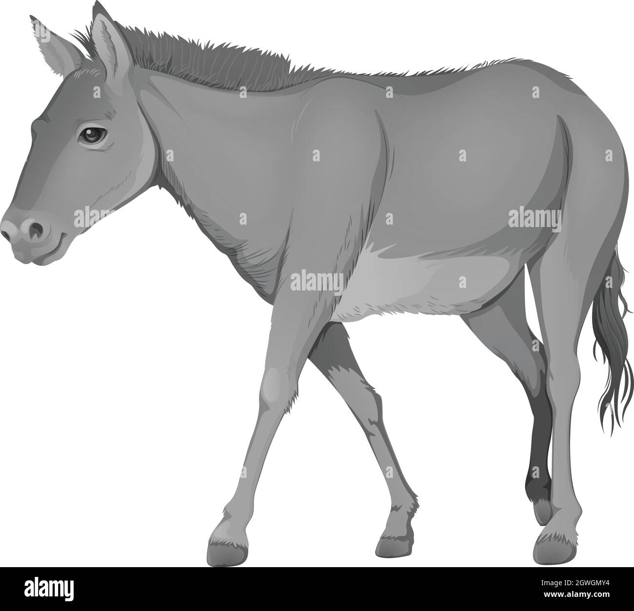 A grey donkey Stock Vector Image & Art - Alamy