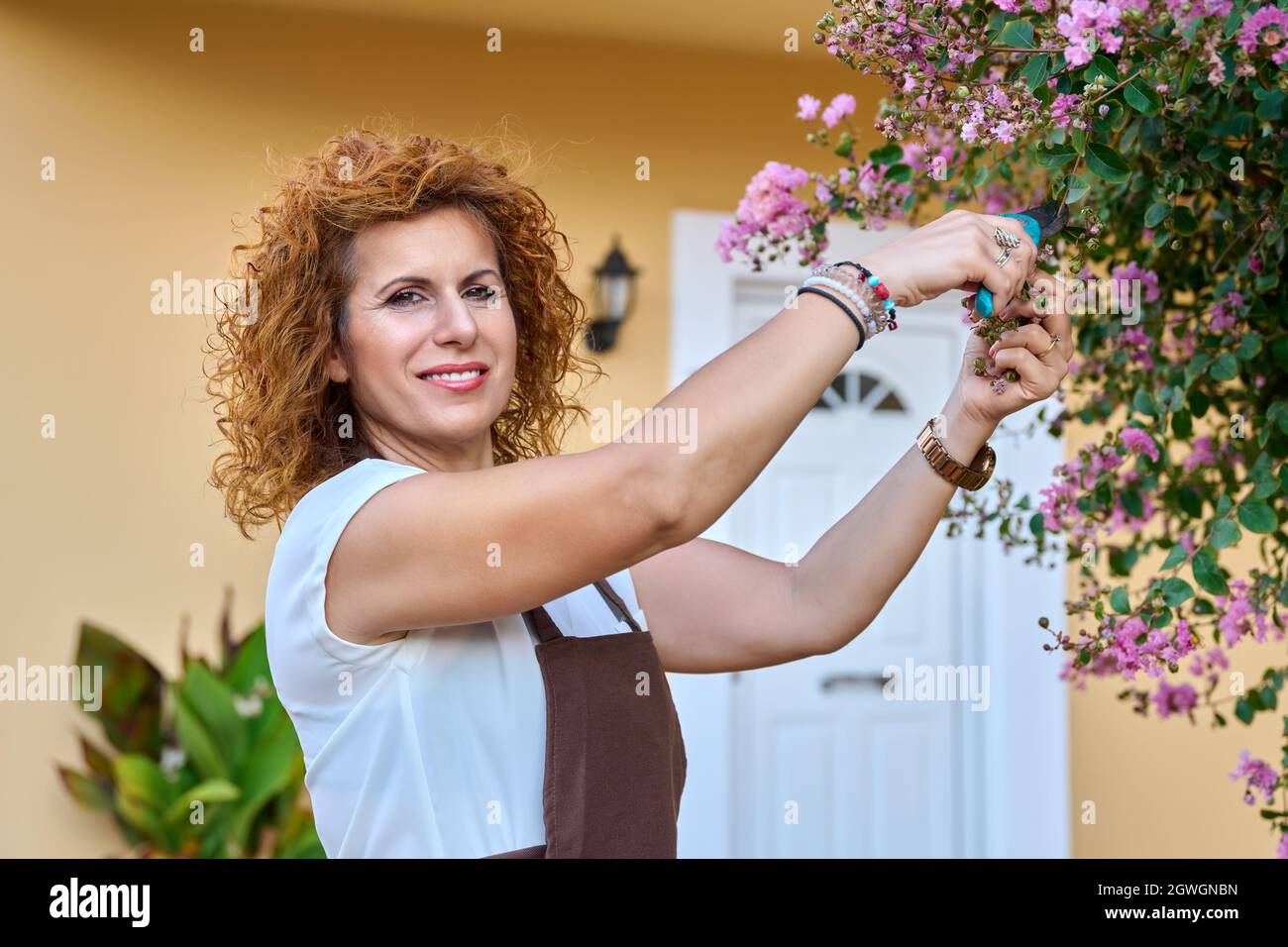 Curly bush cutting hi-res stock photography and images - Alamy