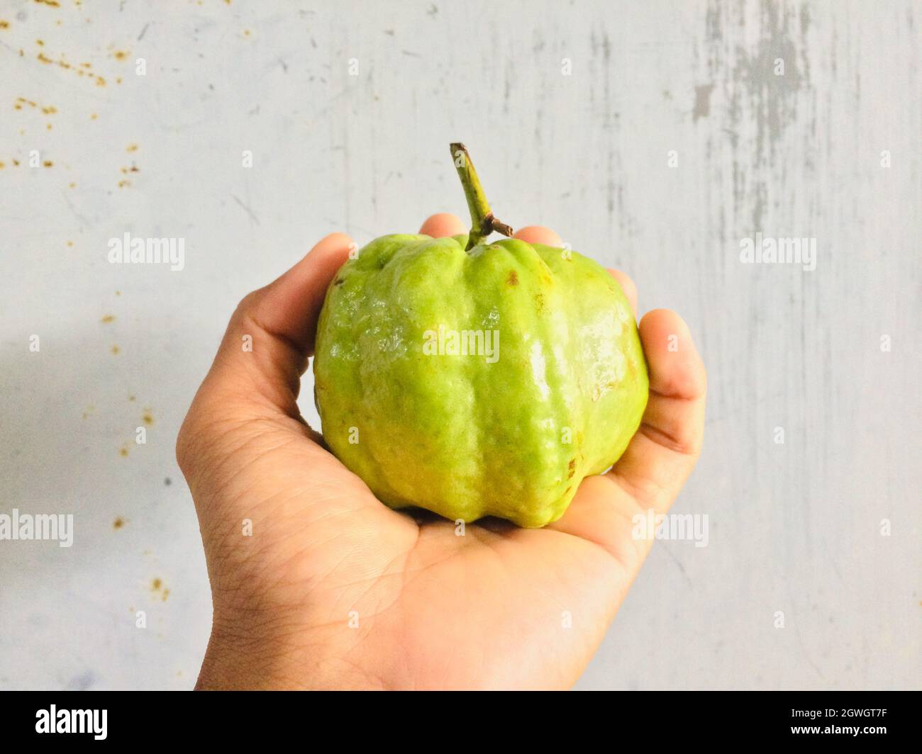 Hand holding guava hi-res stock photography and images - Alamy