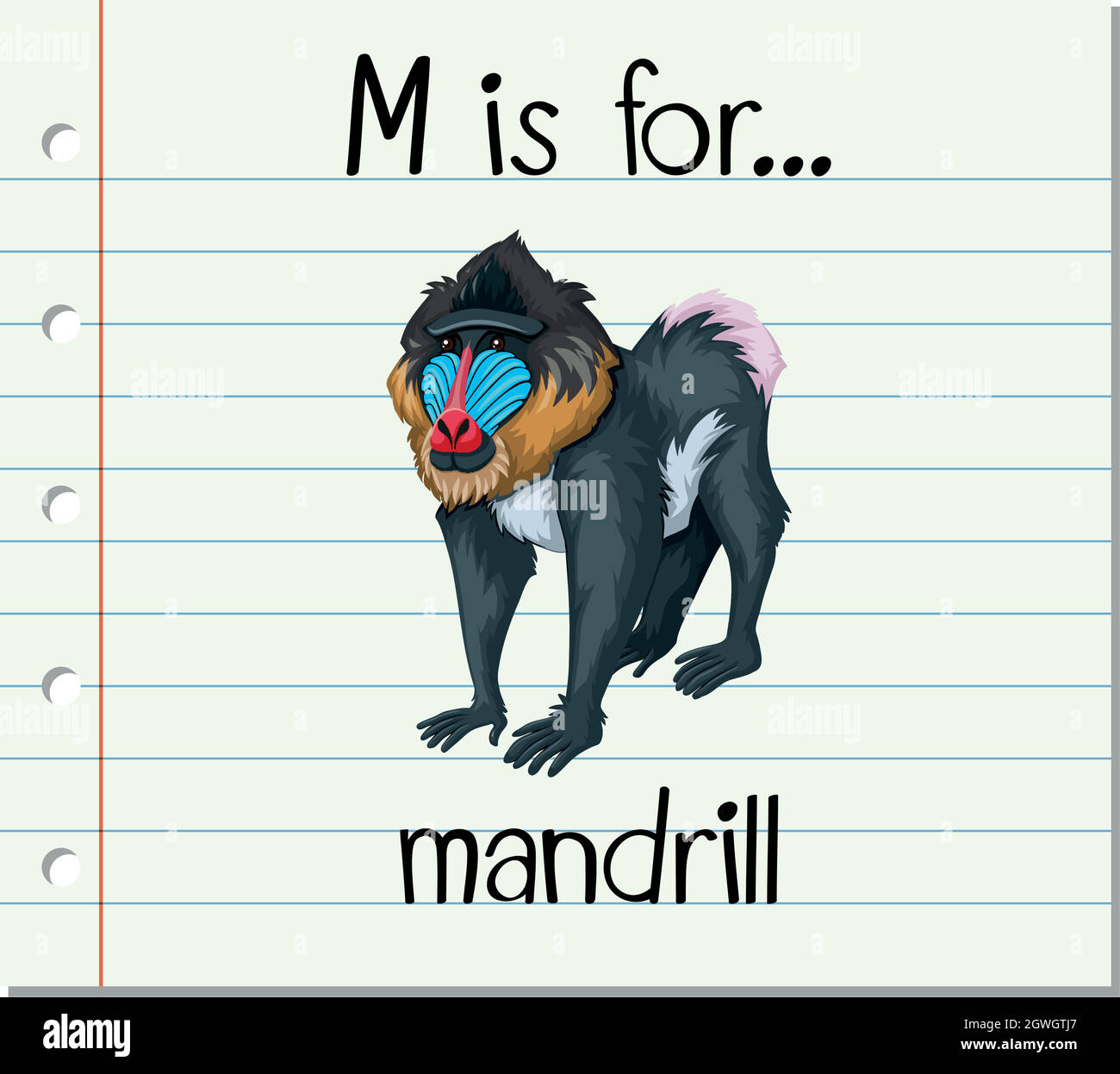 Flashcard letter M is for mandrill Stock Vector Image & Art - Alamy