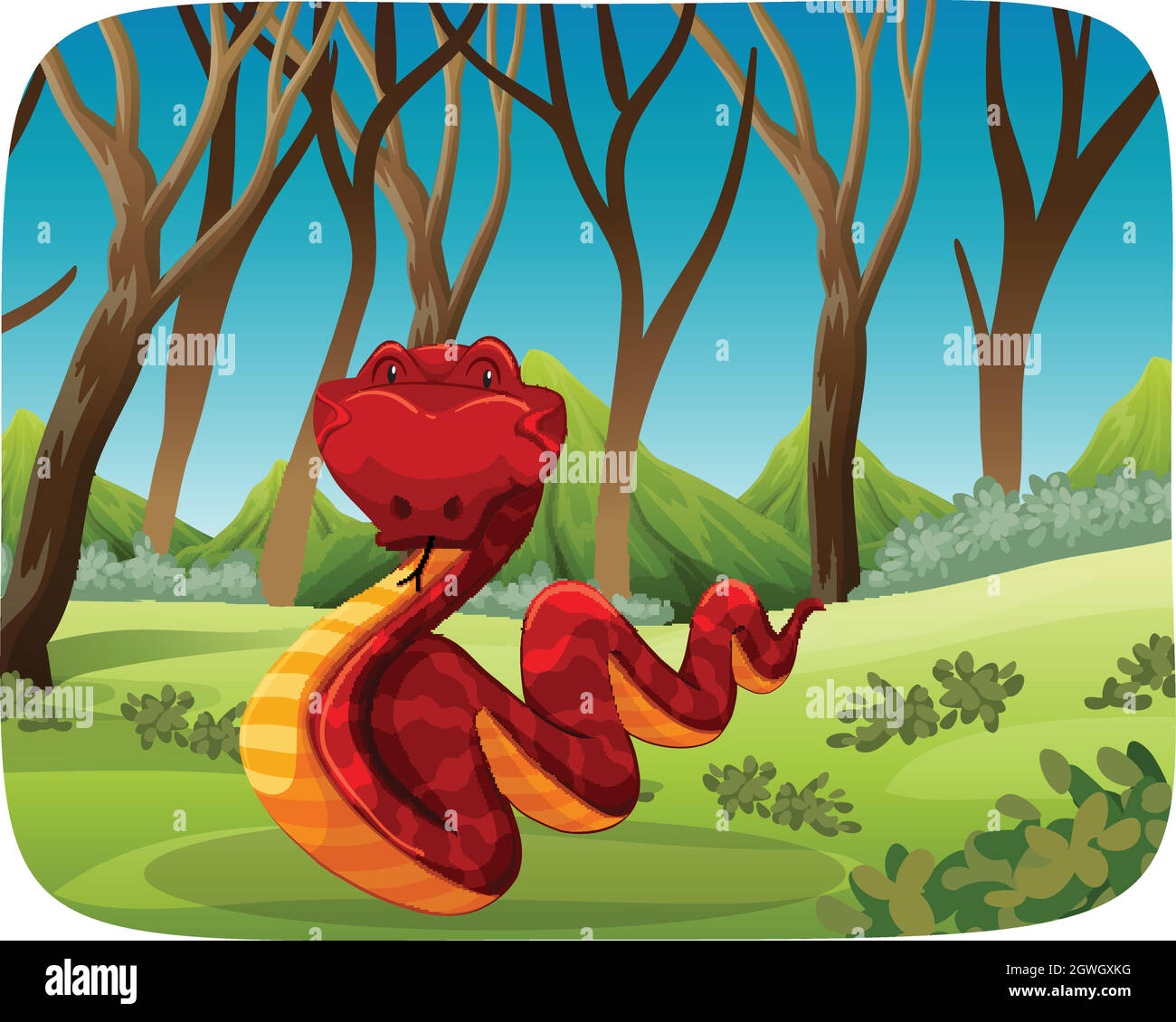 Tropical rainforest snake Stock Vector Images - Alamy