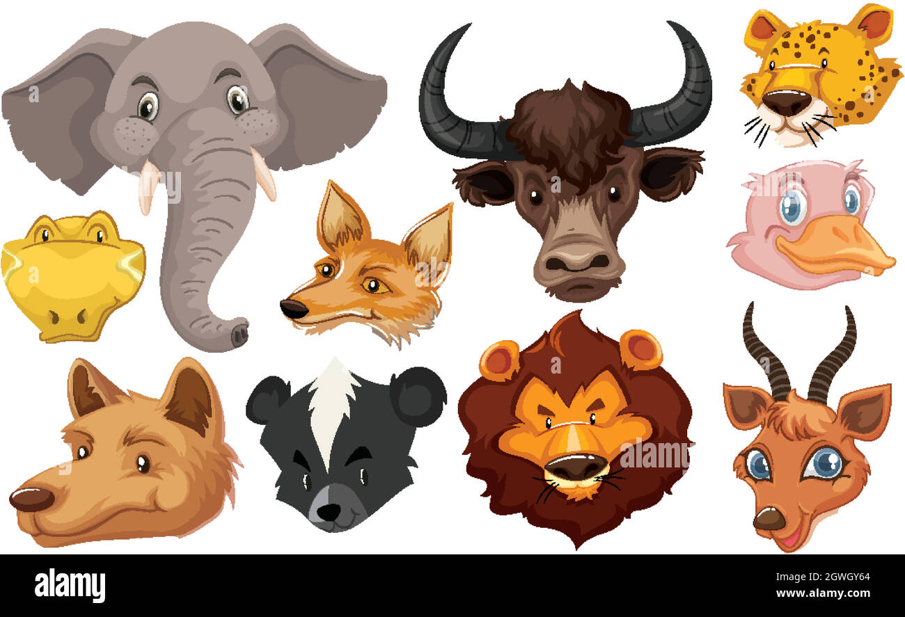 Set of animal head cartoon Stock Vector Image & Art - Alamy