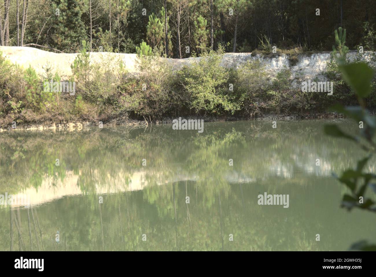 Riverside ecosystem hi-res stock photography and images - Alamy