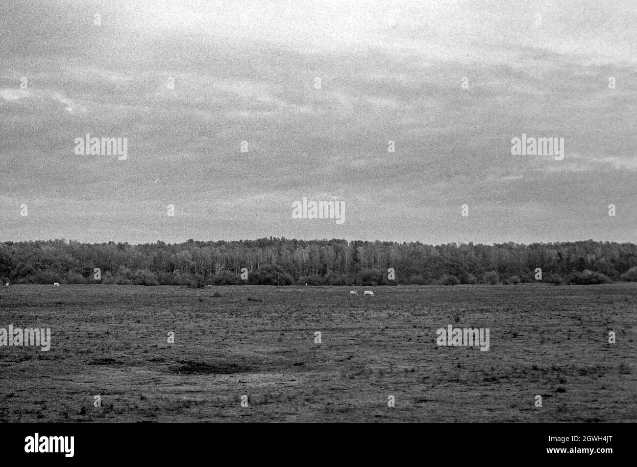 Open field Black and White Stock Photos & Images - Alamy