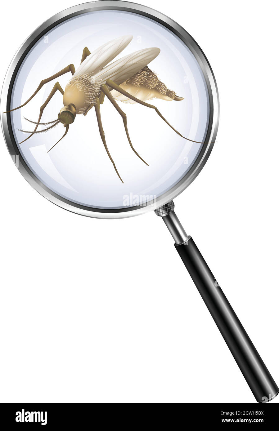 Magnifying glass insect Cut Out Stock Images & Pictures - Alamy
