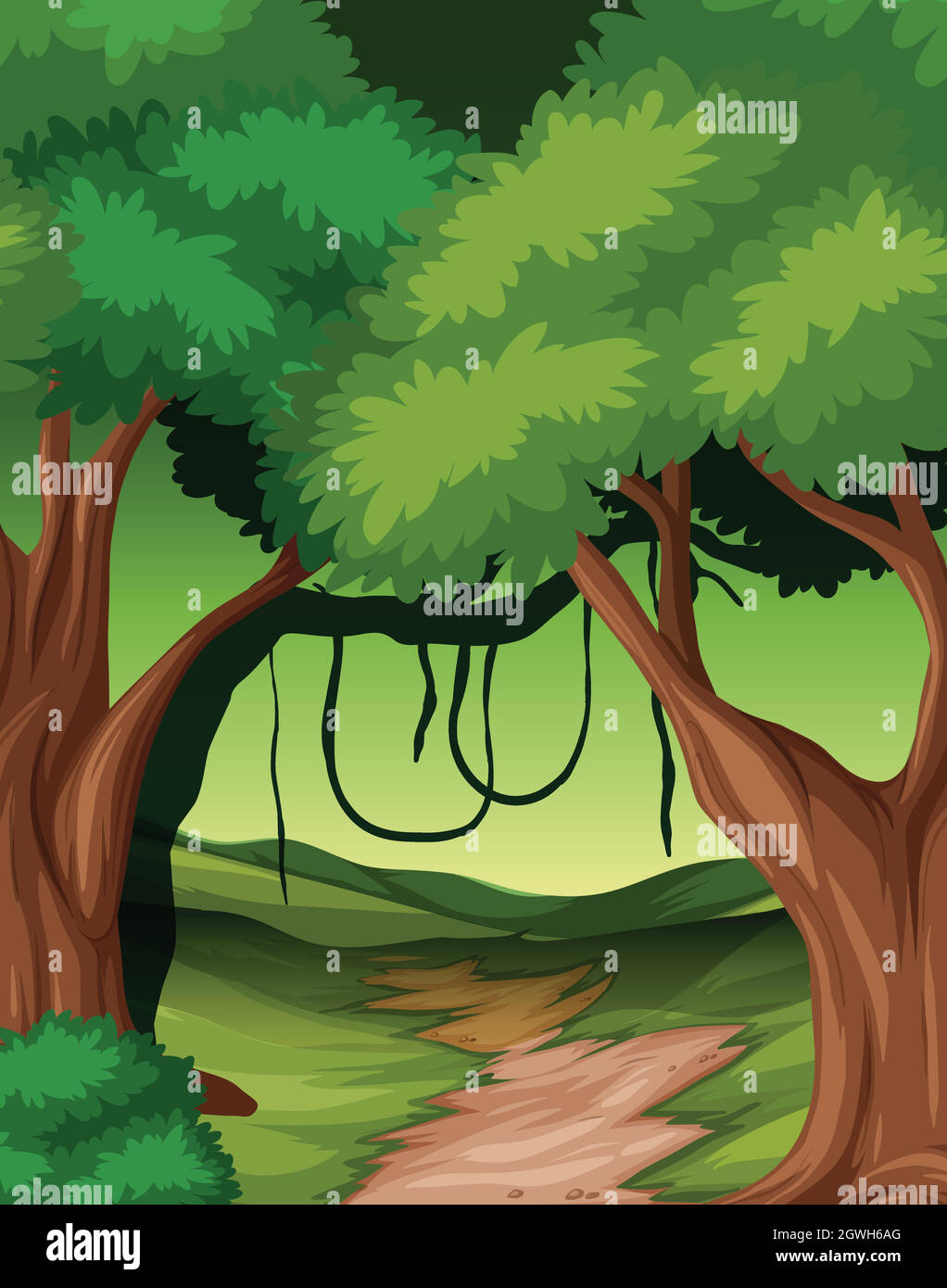 Woods Stock Vector Images - Alamy
