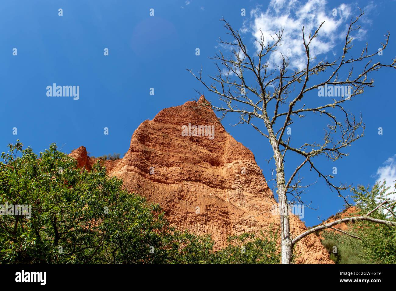 Rock peack and dry tree at the Las Medulas historic gold mining site ...