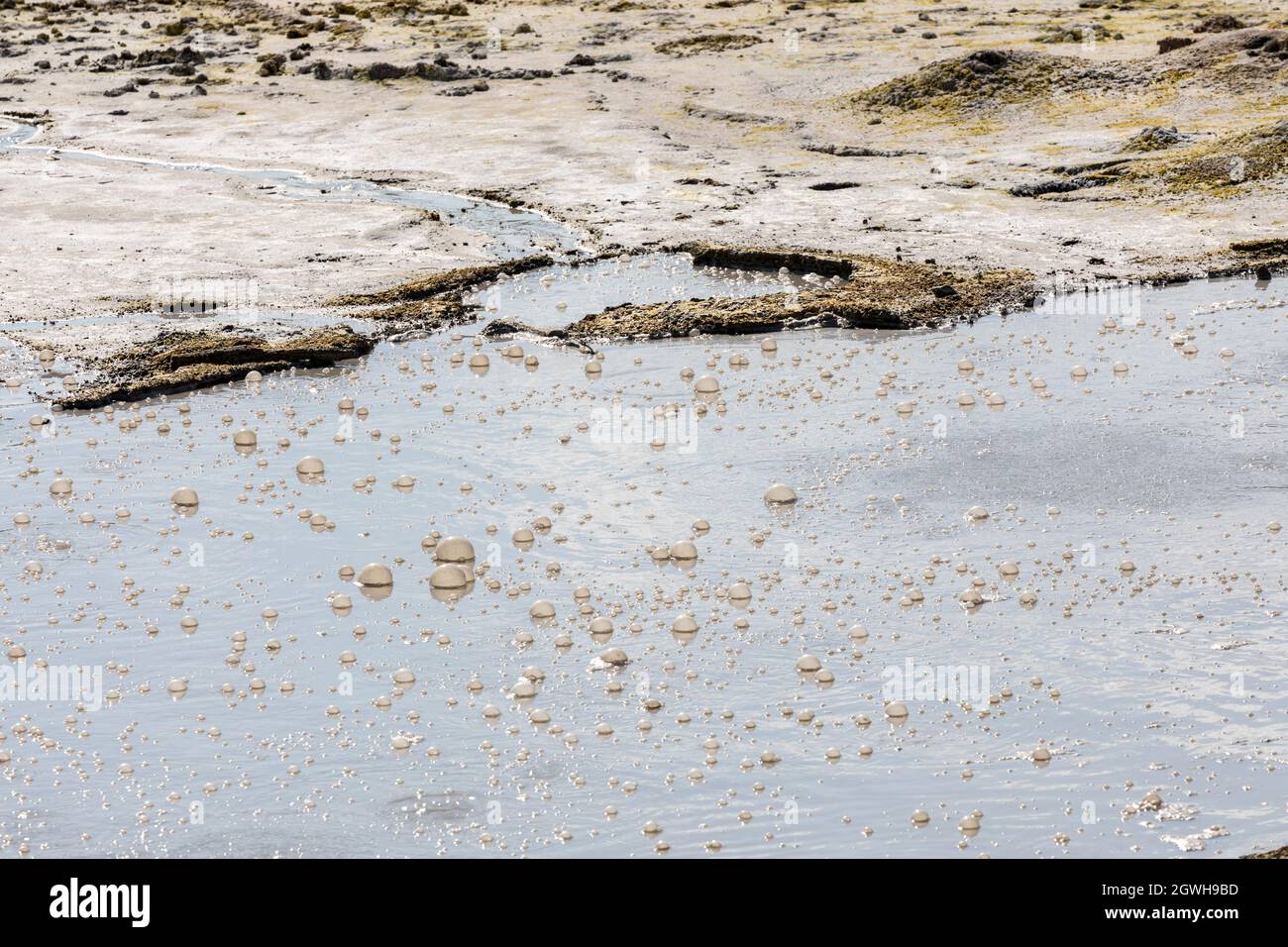 Gas bubles escaping from the Mud Volcano, Yellowstone National Park ...