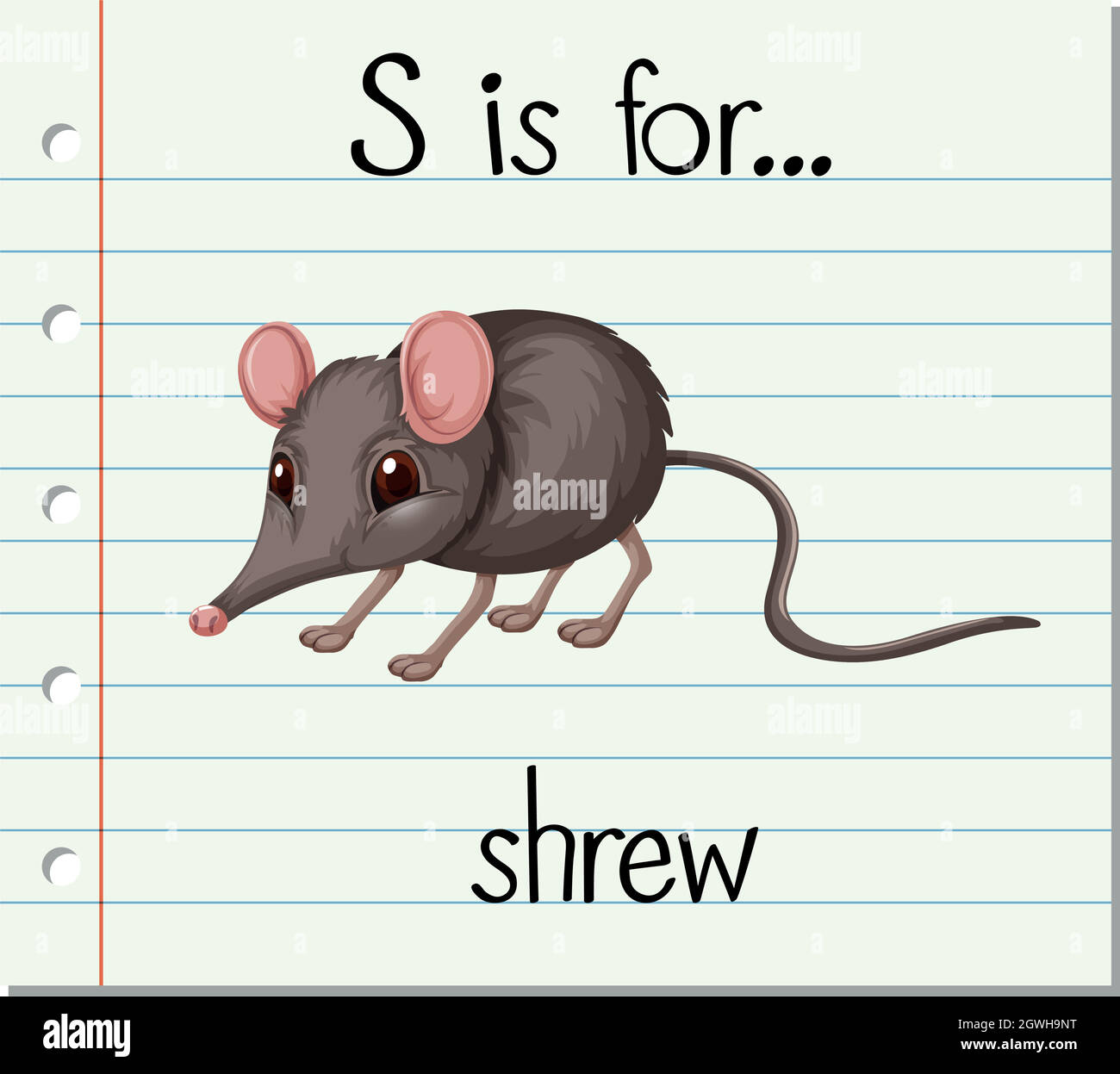 Shrew mouse Stock Vector Images - Alamy