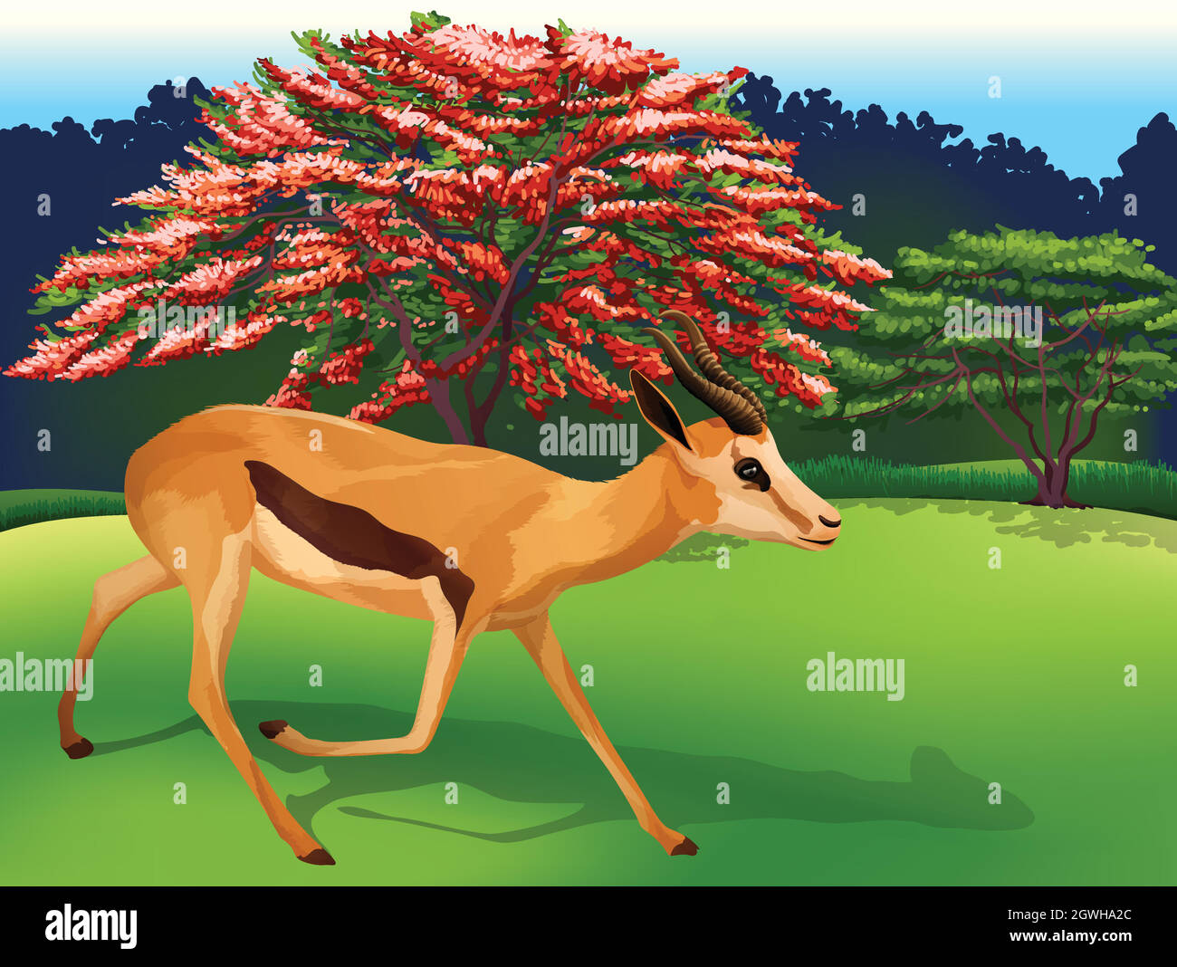 Pudu deer Stock Vector Images - Alamy