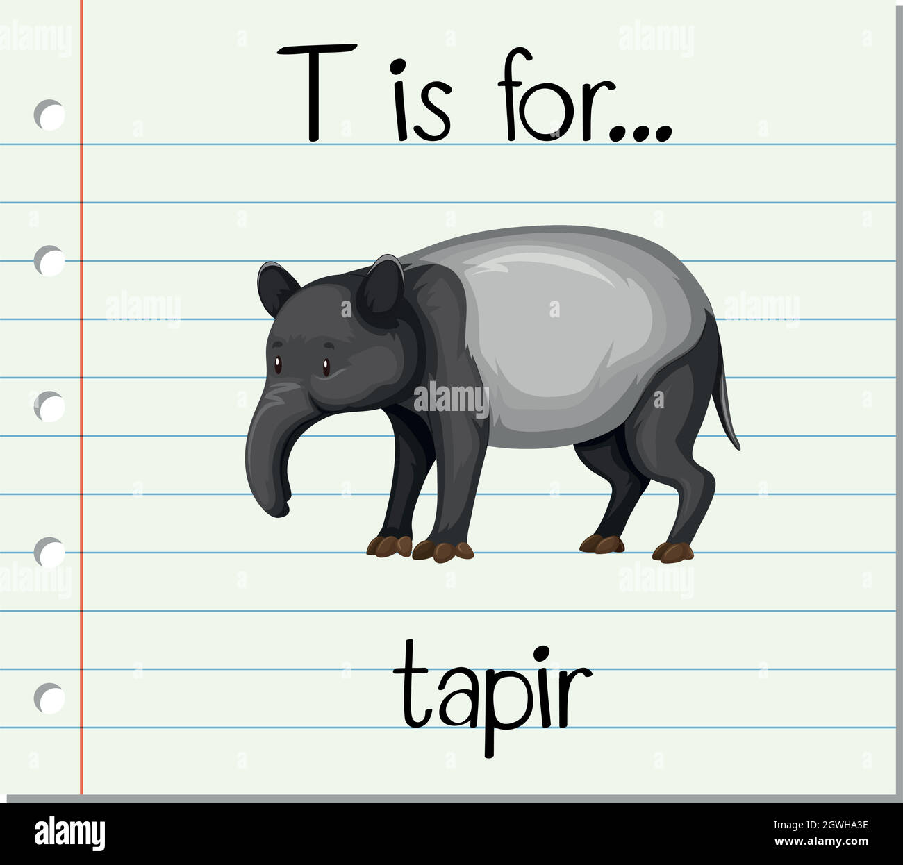 Flashcard letter T is for tapir Stock Vector Image & Art - Alamy