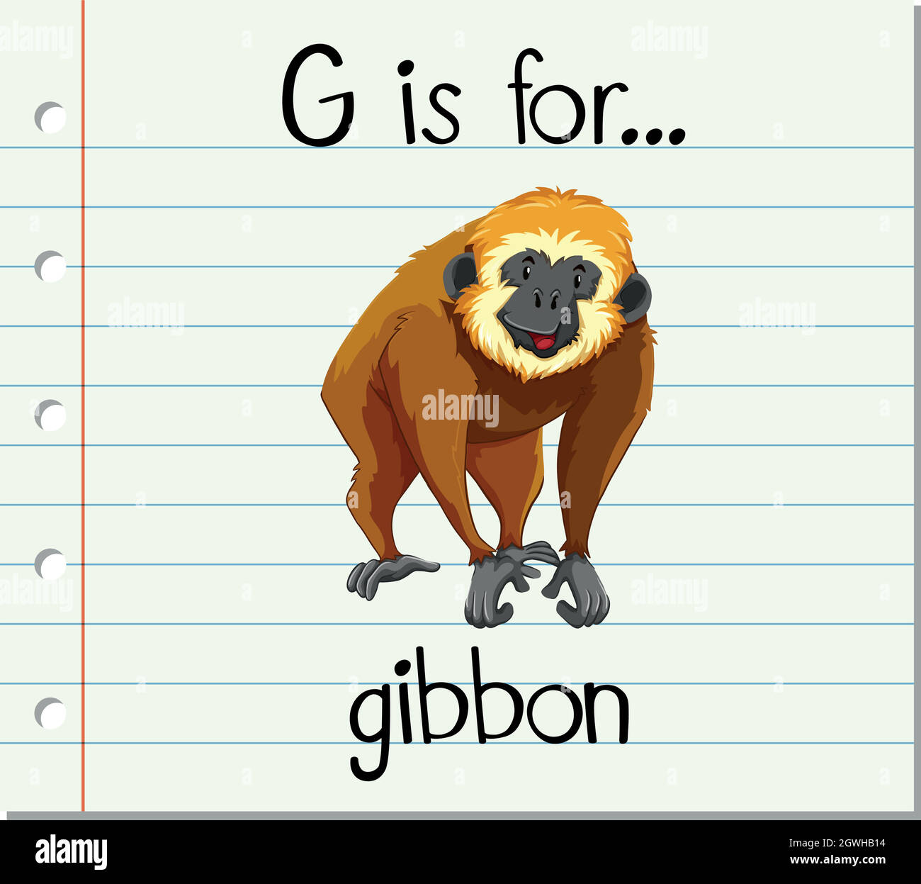 Flashcard letter G is for gibbon Stock Vector Image & Art - Alamy