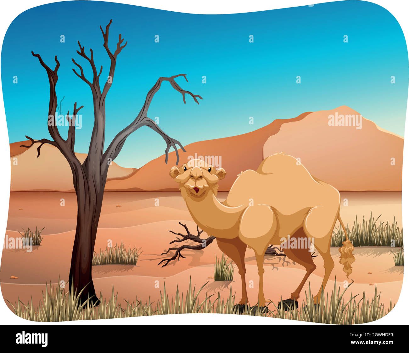 Camel drawing Stock Vector Images - Alamy
