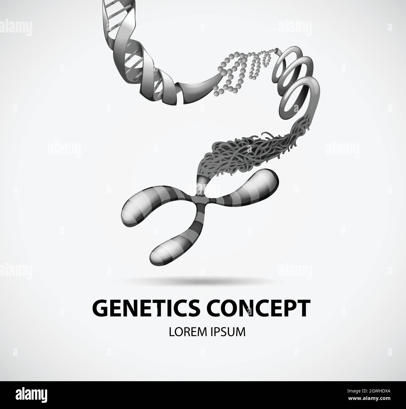 Genes concept Stock Vector Images - Alamy