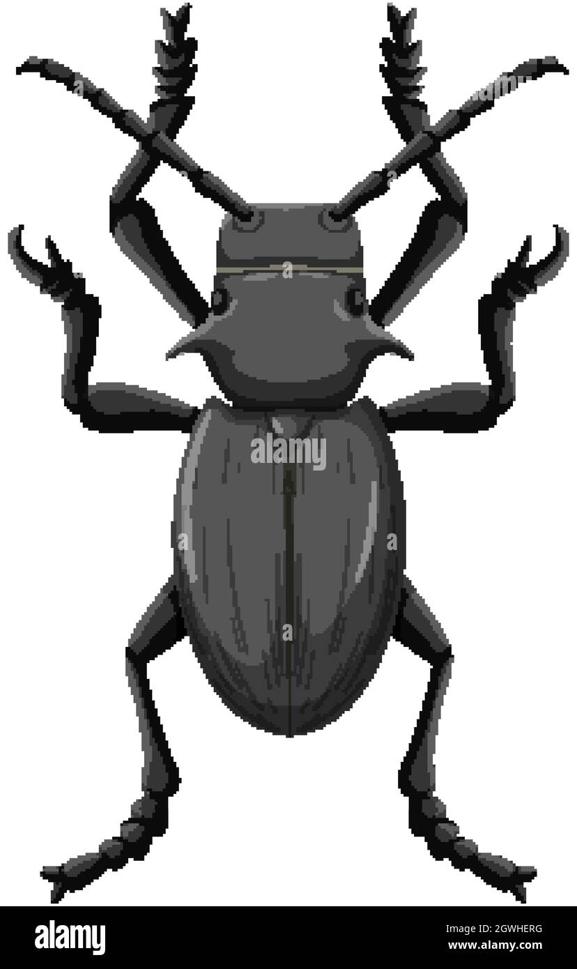 Cactus on white background Stock Vector Images - Alamy