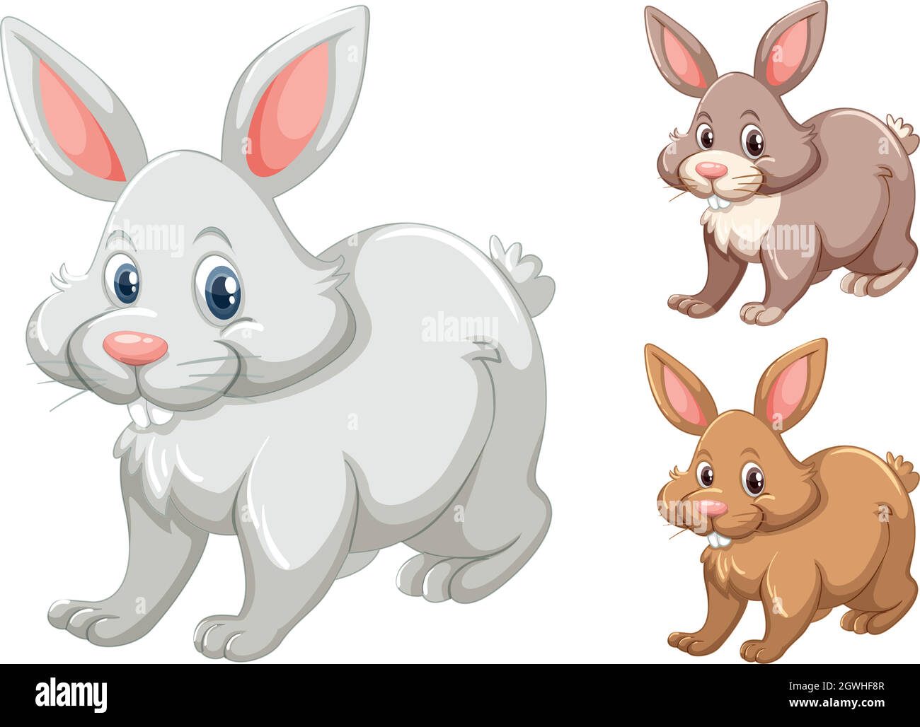 Rabbits with three different colors Stock Vector Image & Art - Alamy