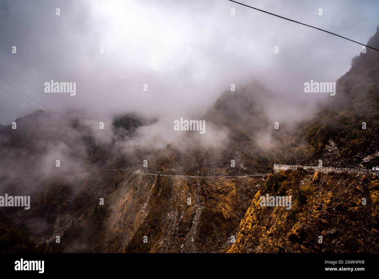 Natula hi-res stock photography and images - Alamy