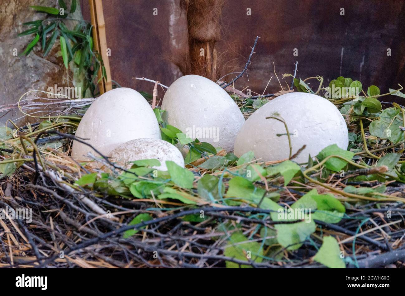 Dinosaur eggs at the Jurassic Land museum in Istanbul, Turkey Stock ...