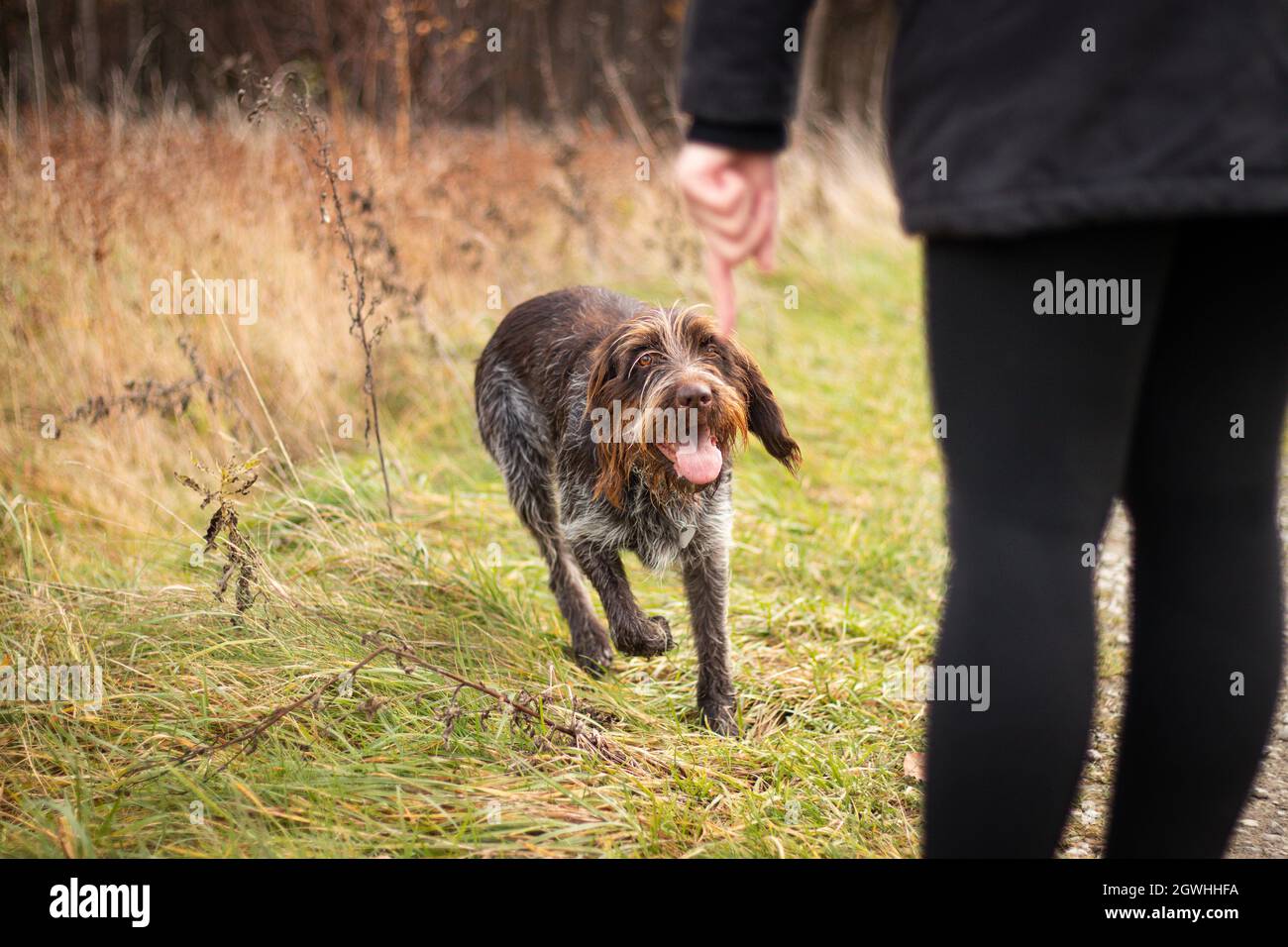 Obedience to authority hi-res stock photography and images - Alamy